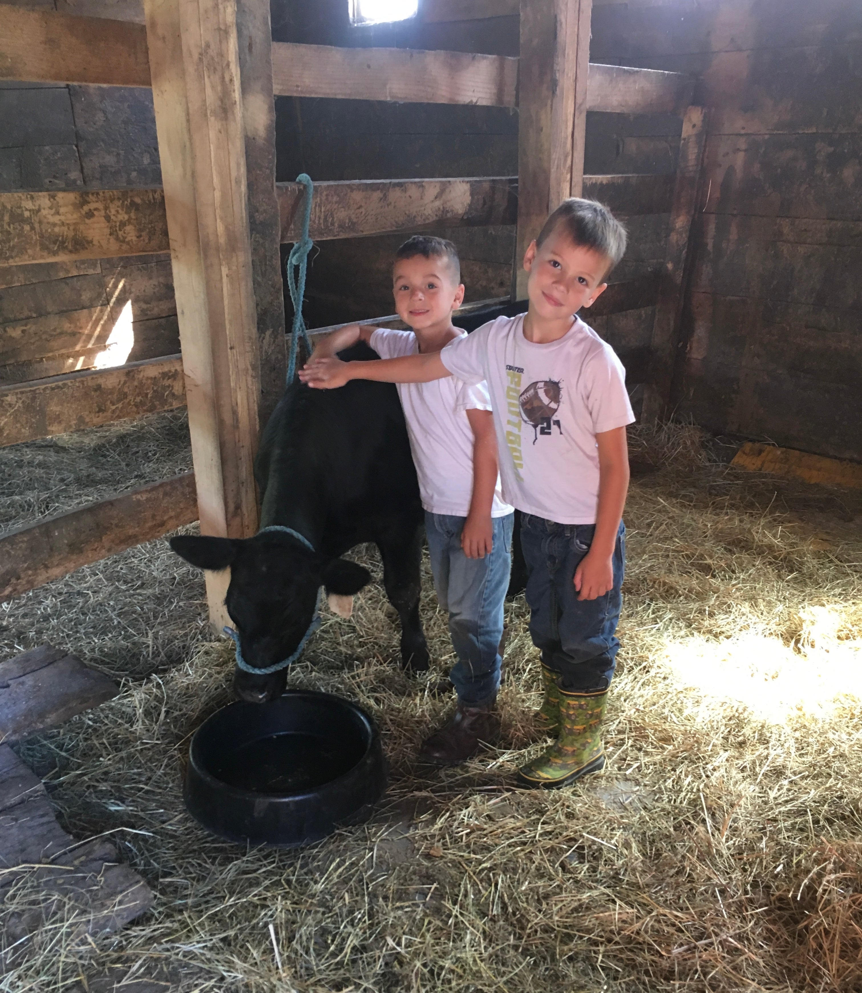 A Life Full of Purpose – Central Bridge Farms